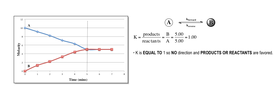 The Equilibrium State Explained: Definition, Examples, Practice & Video ...